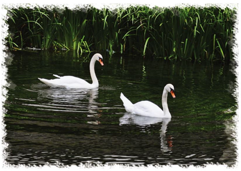 Madigan Army Medical Center > About Us